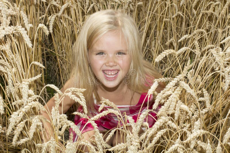 Girl in wheat stock photo. Image of people, rural, bizarre - 32622100