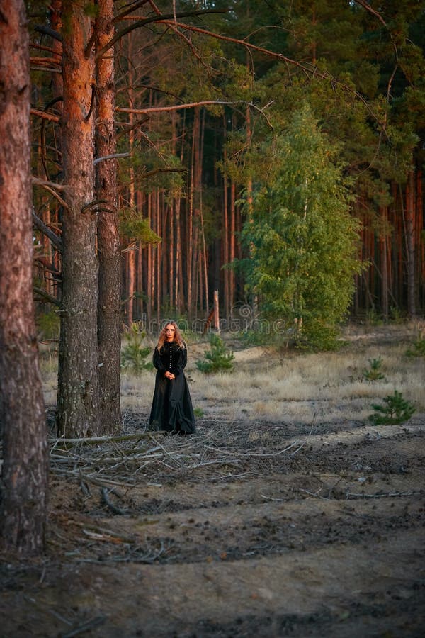 Girl Witch Witch in a Dark Pine Forest Stock Image - Image of adult ...