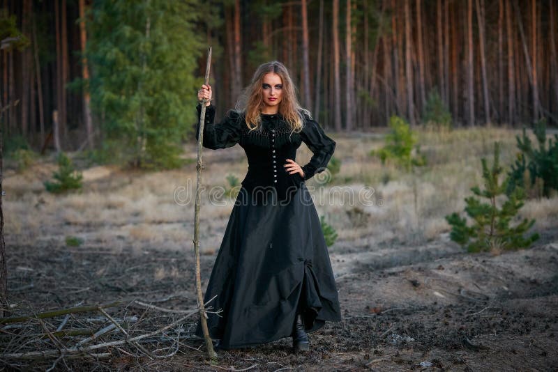 Girl Witch Witch in a Dark Pine Forest Stock Photo - Image of magic ...