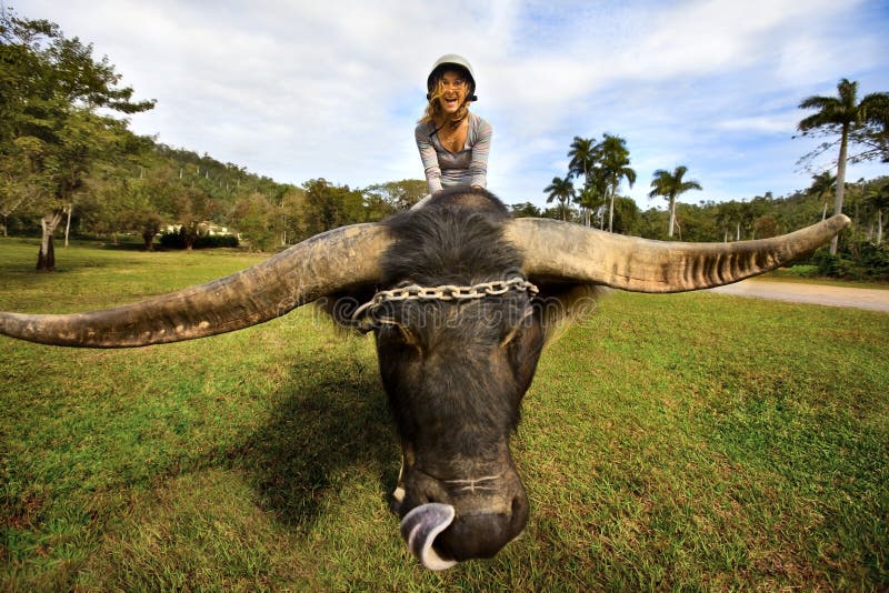 1+ Girl riding yak Free Stock Photos - StockFreeImages