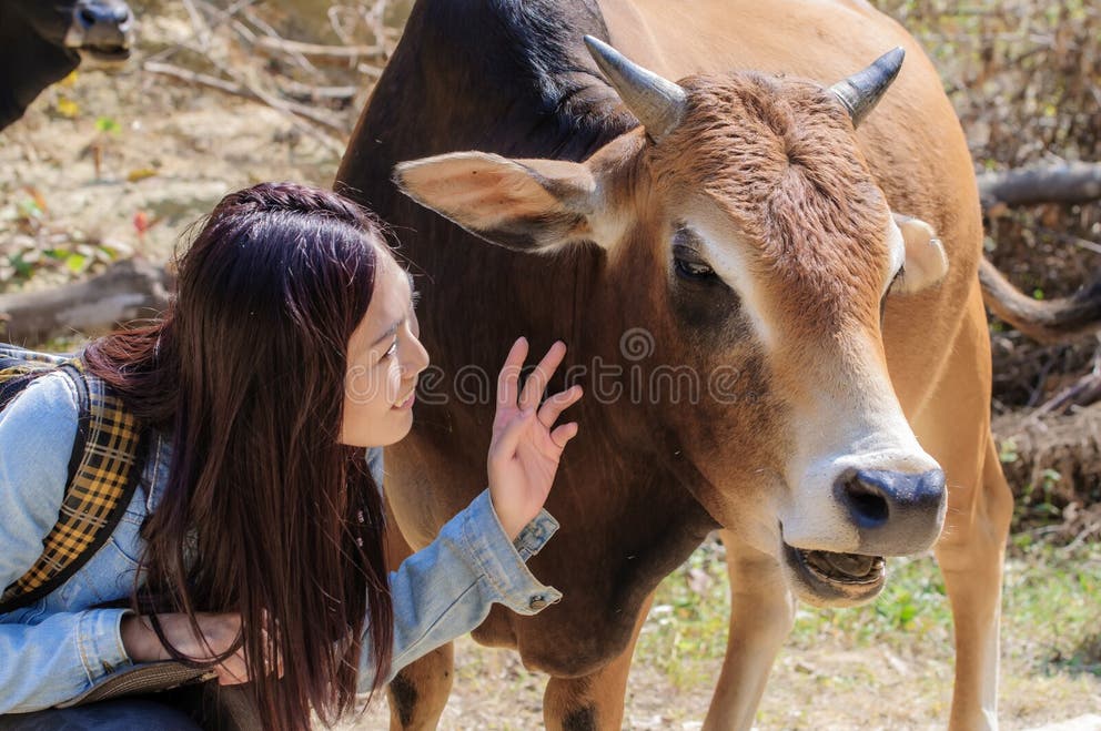 Girls and cattle stock photo. Image of farming, pasture - 35769186