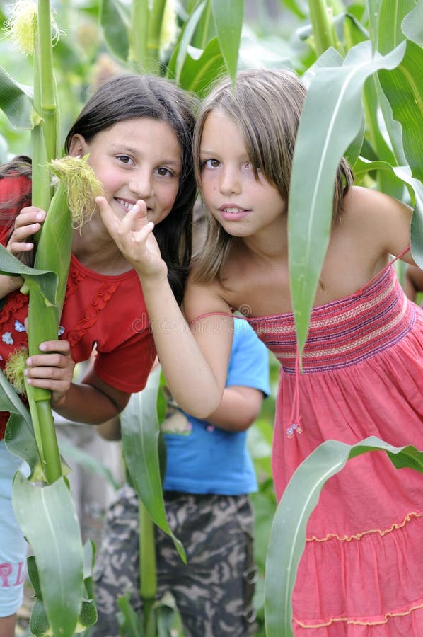 Girls in corn field stock image. Image of discussion - 10281567