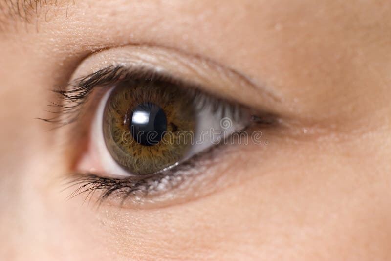 Girls eye stock image. Image of female, girl, woman, brown - 2170459