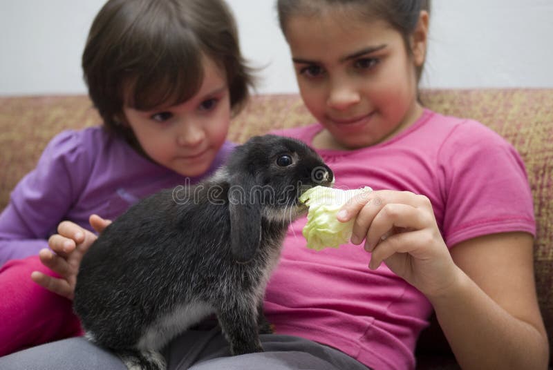 Girls Feeding Her Pet Rabbit Stock Photo - Image of brunette, friends ...