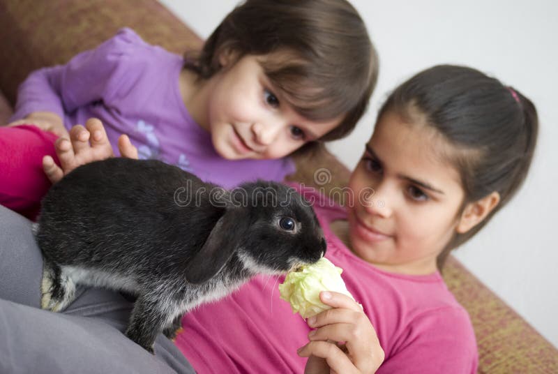 Girls Feeding Her Pet Rabbit Stock Photo - Image of company, holding ...