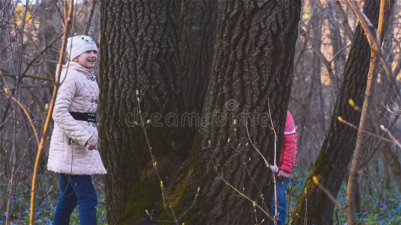 Girls in the Forest Running Around Tree Stock Video - Video of flora ...