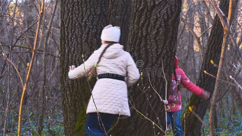 Girls in the Forest Running Around Tree Stock Footage - Video of laugh ...