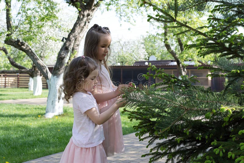 Girls playing in the yard stock photo. Image of adult - 118862184