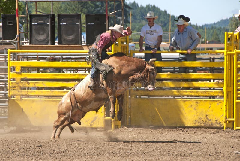 Giro del toro fotografia editoriale. Immagine di concorrenza - 40181937