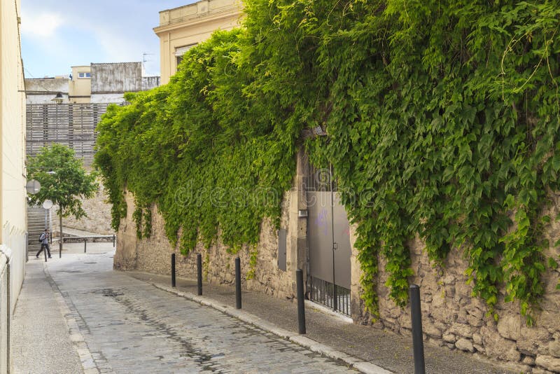 Wall Covered with Greenery in the Old Girona, Spain Editorial Image ...