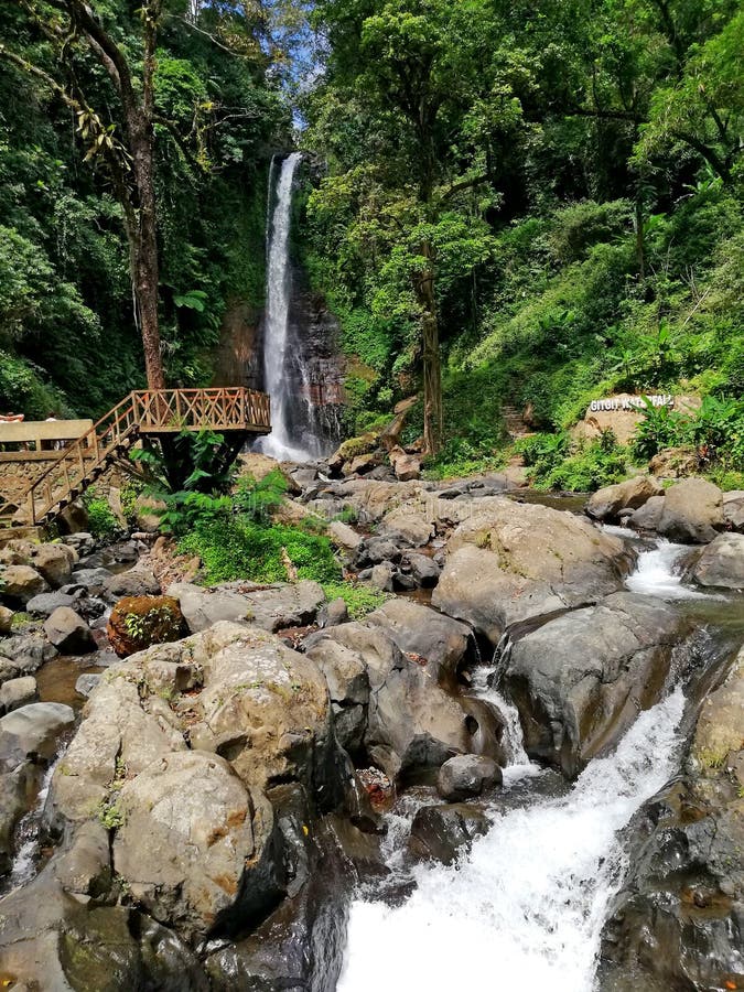 Gitgit Waterfall in Buleleng Regency of Bali-Indonesia Stock Image ...
