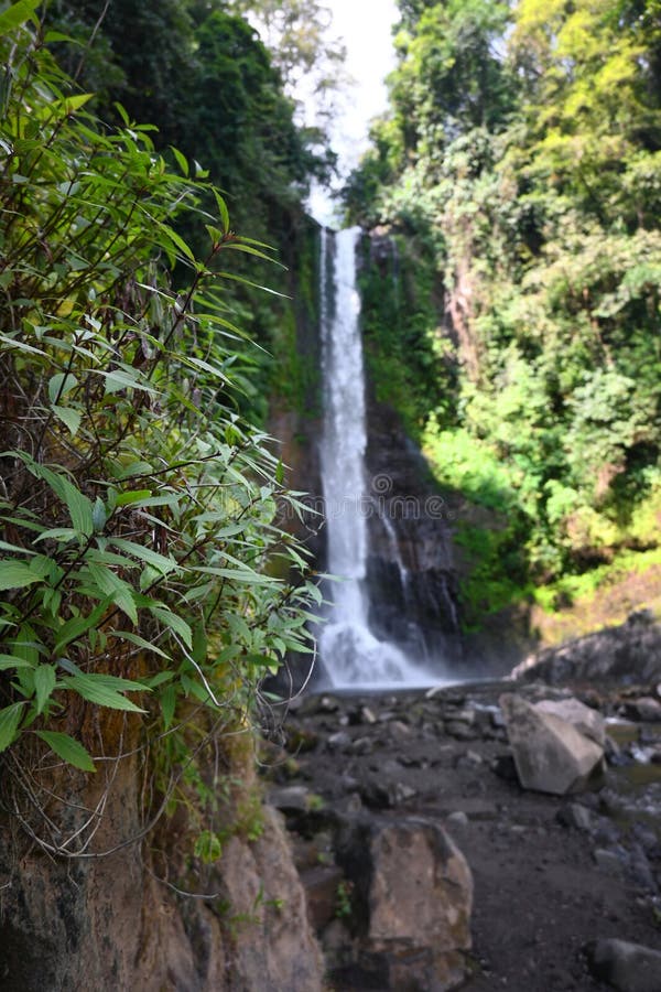 Gitgit Waterfall in Buleleng Regency of Bali - Indonesia Stock Photo ...