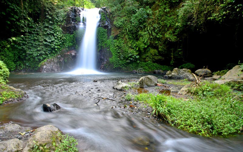 Gitgit Waterfall at Singaraja Regency of Bali - Indonesia Stock Image ...