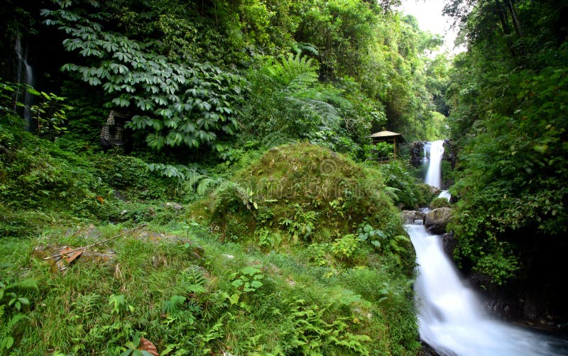 Gitgit Waterfall at Singaraja Regency of Bali - Indonesia Stock Image ...