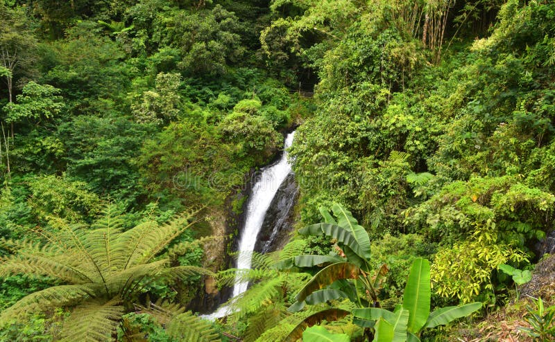 Gitgit Waterfall at Singaraja Regency of Bali - Indonesia Stock Image ... Gitgit Waterfall at Singaraja Regency of Bali - Indonesia Stock Image ...