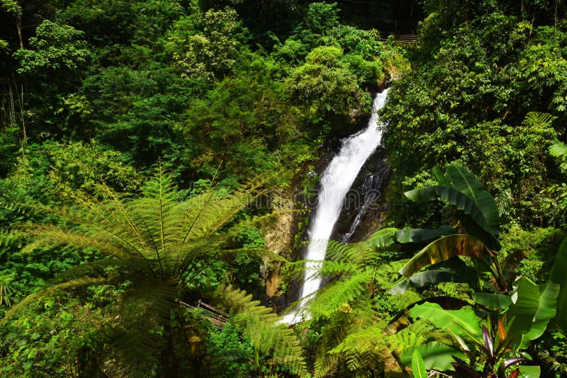 Gitgit Waterfall at Singaraja Regency of Bali - Indonesia Stock Photo ... Gitgit Waterfall at Singaraja Regency of Bali - Indonesia Stock Photo ...