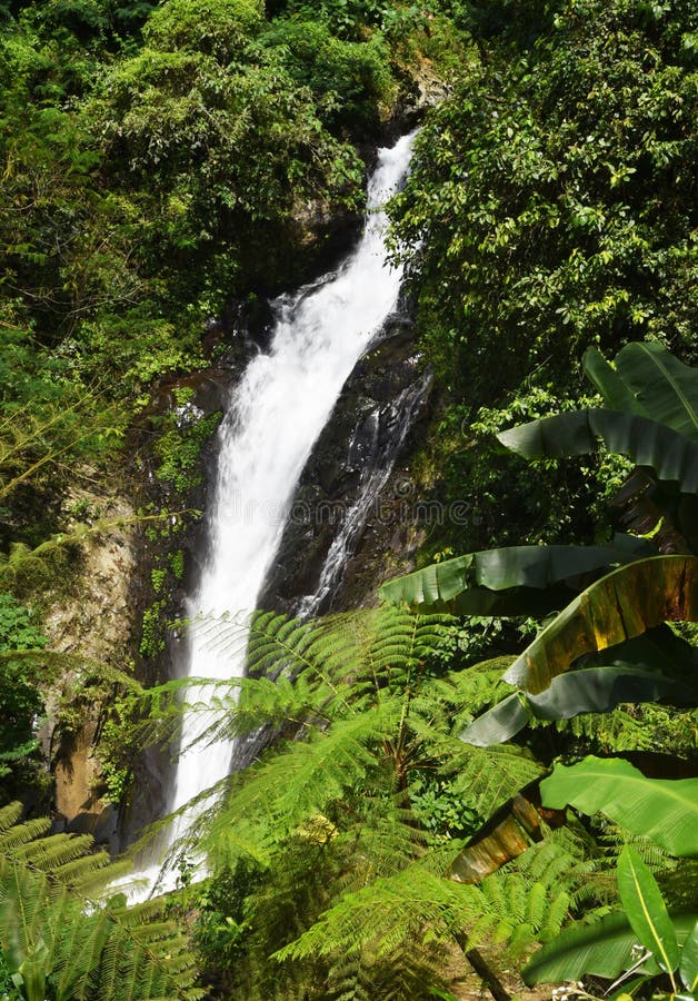 Gitgit Waterfall at Singaraja Regency of Bali - Indonesia Stock Image ... Gitgit Waterfall at Singaraja Regency of Bali - Indonesia Stock Image ...
