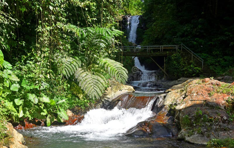 Gitgit Waterfall at Singaraja Regency of Bali - Indonesia Stock Image ...