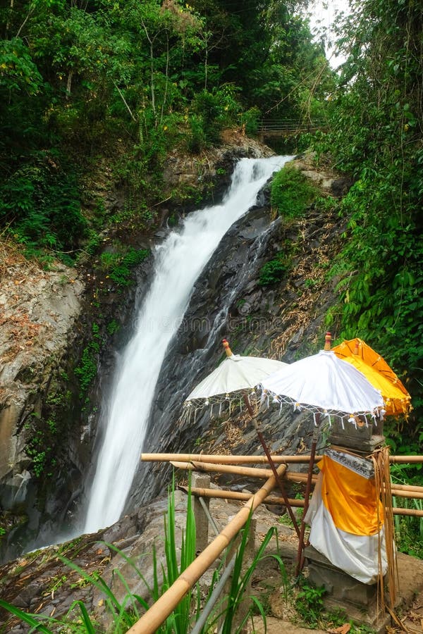 Gitgit Waterfalls, Surrounded by Beautiful Wild Nature Stock Image ...