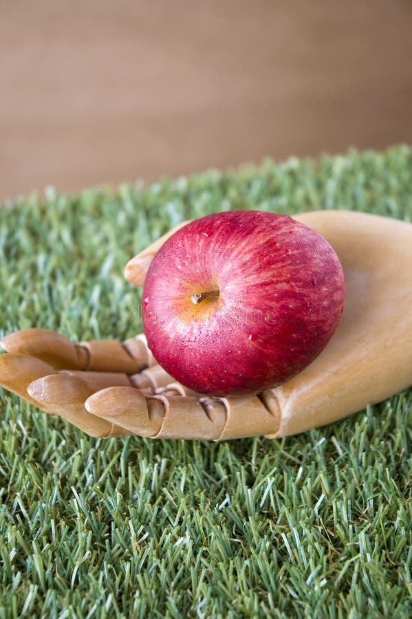 Give apple stock image. Image of offer, diet, robot, close - 45264591