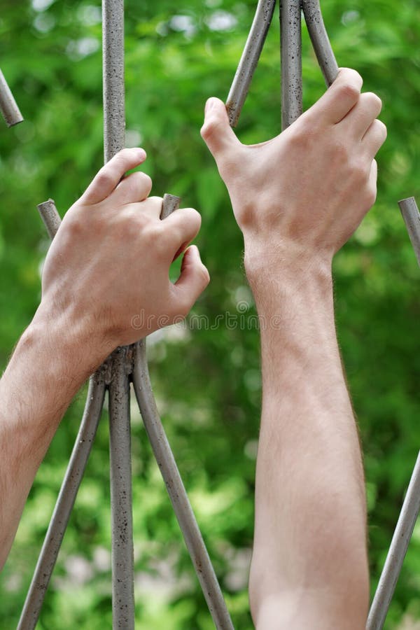 Give Me A Freedom! Picture. Image: 5289845