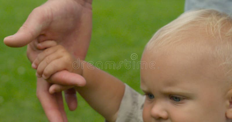 Give Me a Hand - a Father and Son Holding Hands on Nature Stock Footage ...