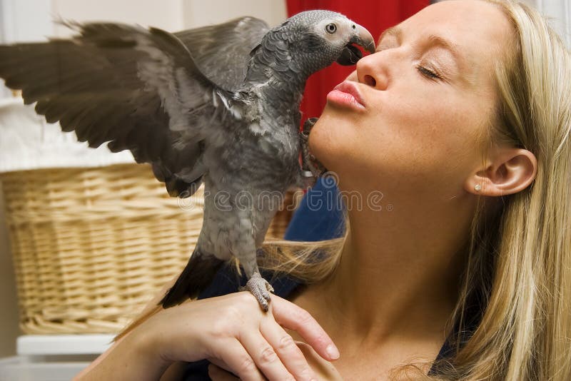 Give me a Kiss! stock image. Image of head, feathers, maroon - 2278269