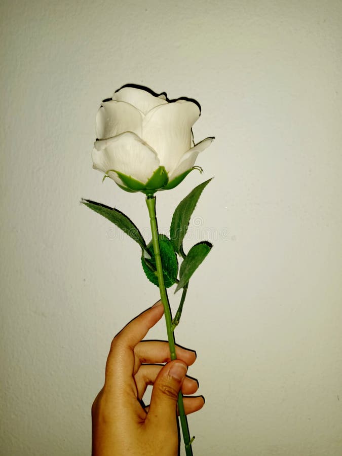 Can You Give Me Army Green Stock Photos - Free & Royalty-Free Stock ...