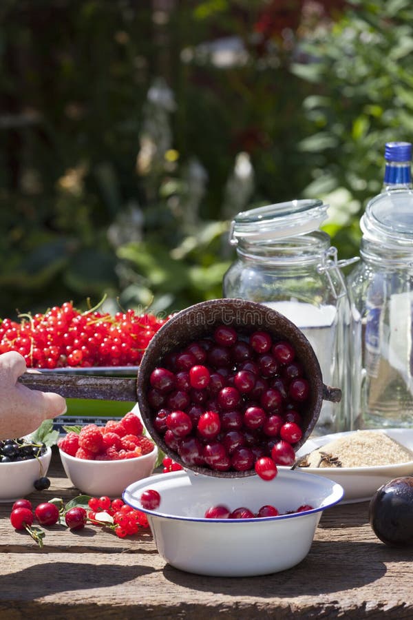 Give Washed Cherry in a Bowl Stock Photo - Image of berry, objects ...