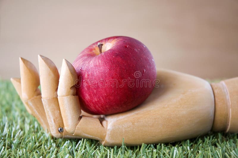 Giving apple stock image. Image of summer, hand, model - 45264667