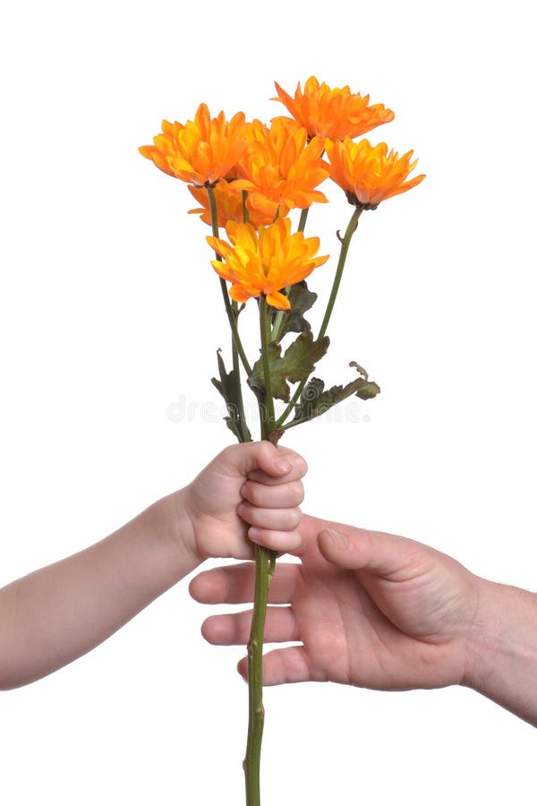 Father And Son In Flowers Stock Image Image Of Emotion 14117891