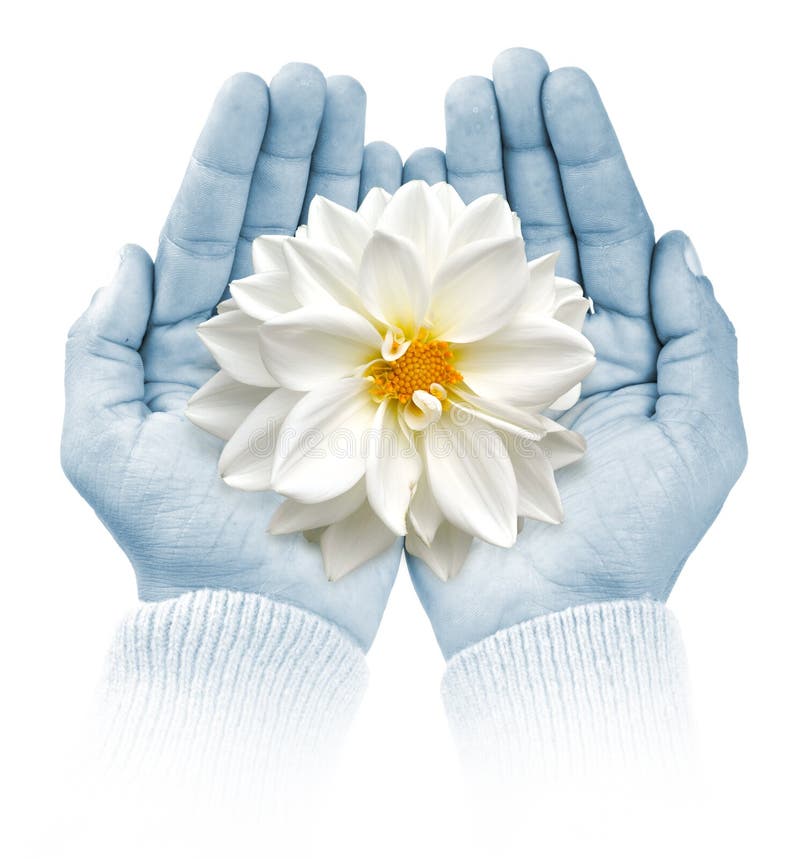 Giving life stock image. Image of give, corolla, pistil - 1324703