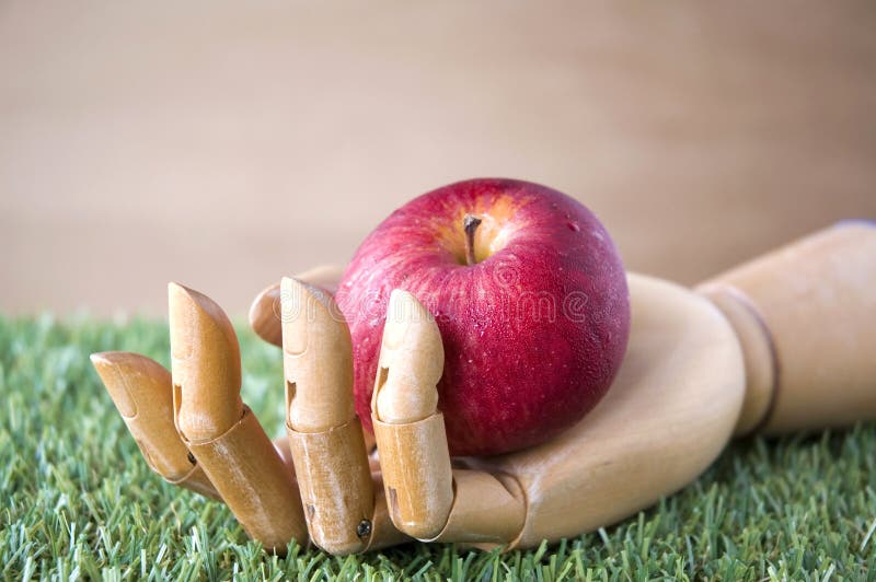 Giving apple stock image. Image of summer, hand, model - 45264667
