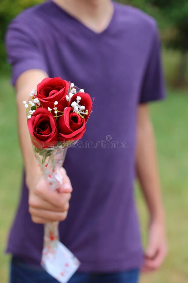 Giving Roses stock image. Image of dress, passion, hand - 33263847