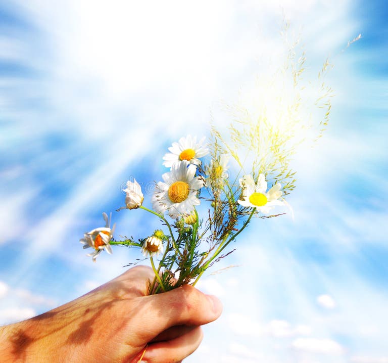 Giving spring flowers stock image. Image of giving, present - 7868951