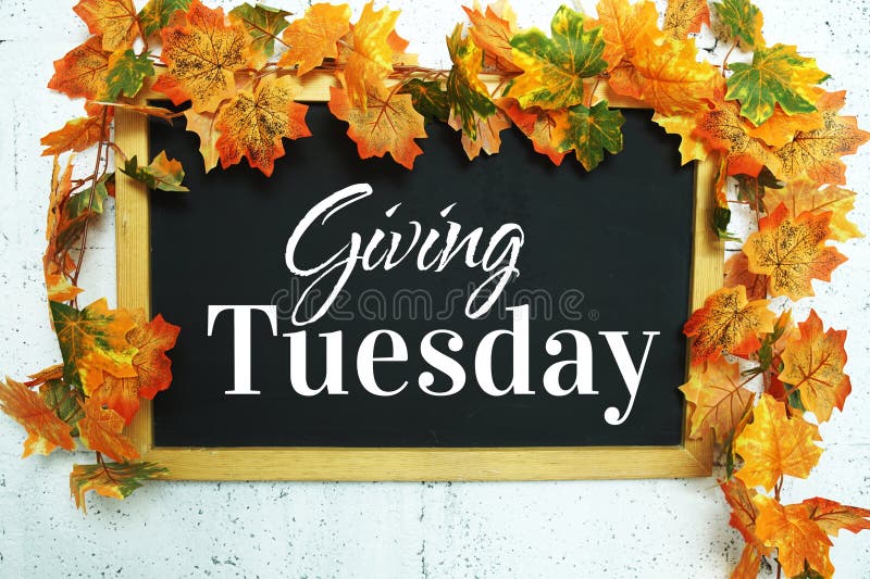 Giving Tuesday Text Message on Chalkboard with Maple Leaf Decoration ...