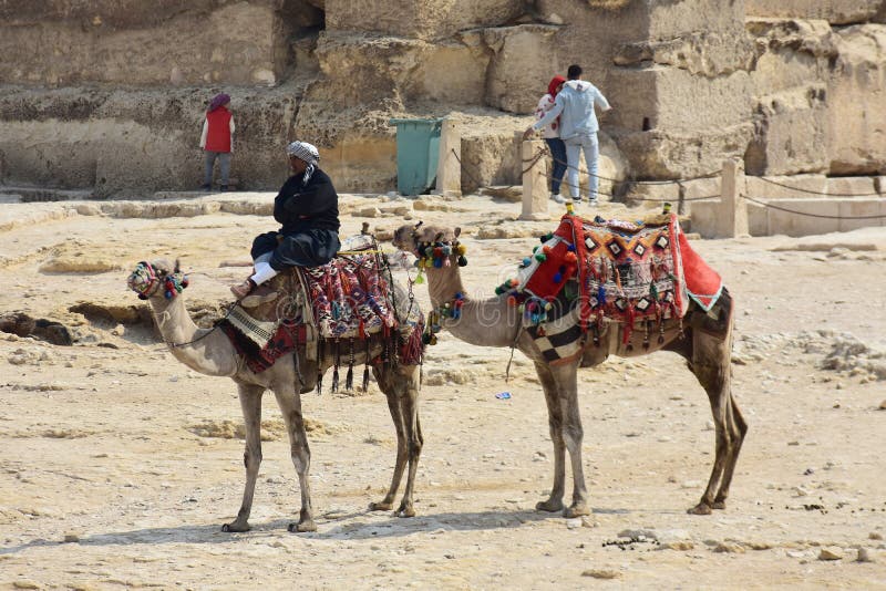 Giza Plateau at Cairo, Egypt. Editorial Stock Image - Image of ...