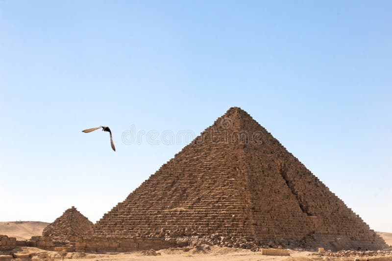 Giza Pyramid with Flying Bird Stock Image - Image of shape ...