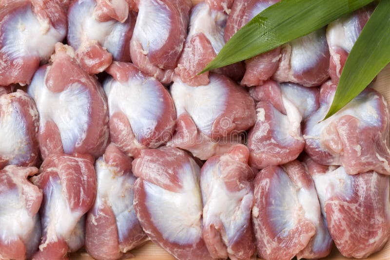 Gizzard stock photo. Image of yakitori, young, japan - 10126366