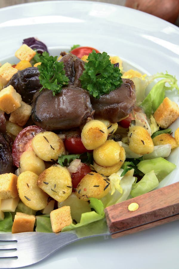 Gizzard salad and potatoes stock photo. Image of potatoes - 165843230