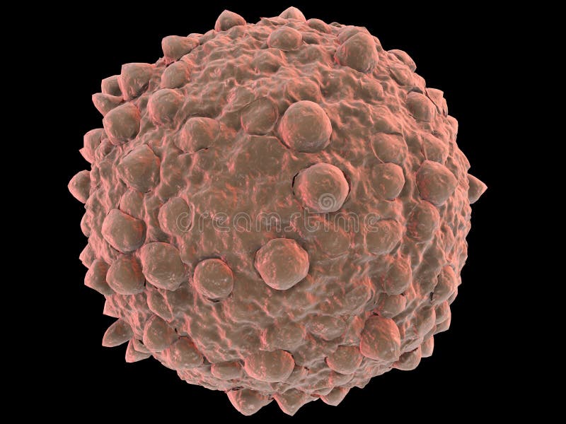 Glóbulo branco - Monocyte ilustração stock. Ilustração de microbiologia ...