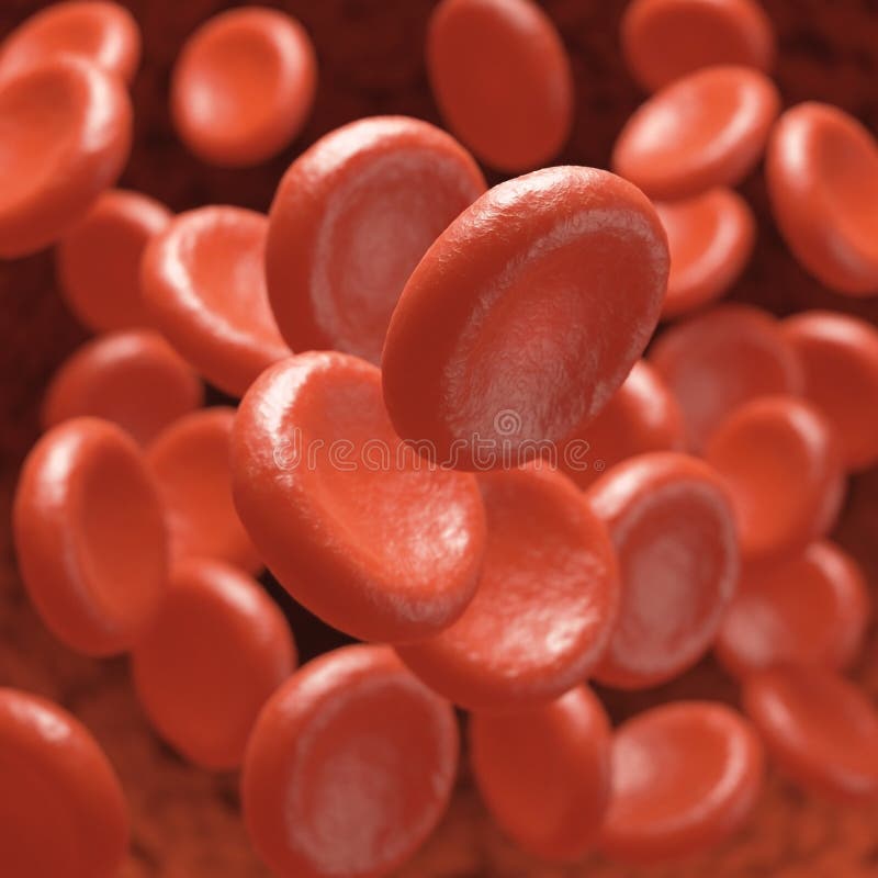 Glóbulos vermelhos imagem de stock. Imagem de hematologia - 49638793