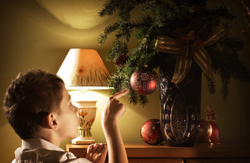 Glace-Bille image stock. Image du fleuri, décembre, brillant - 3576695