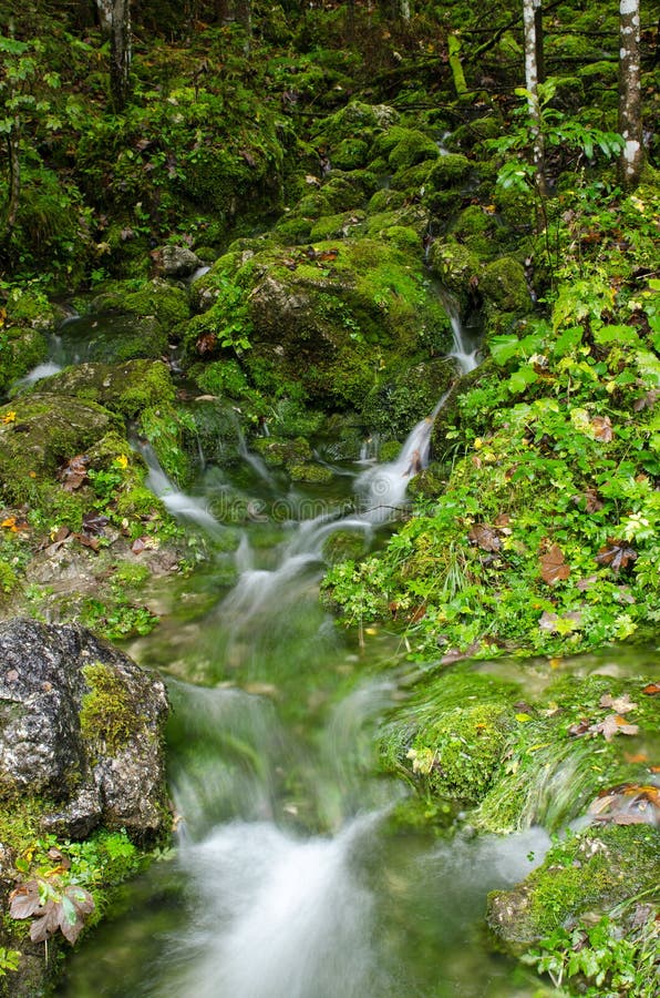 Glacial Spring in the German Ramsau Stock Photo - Image of leafs ...