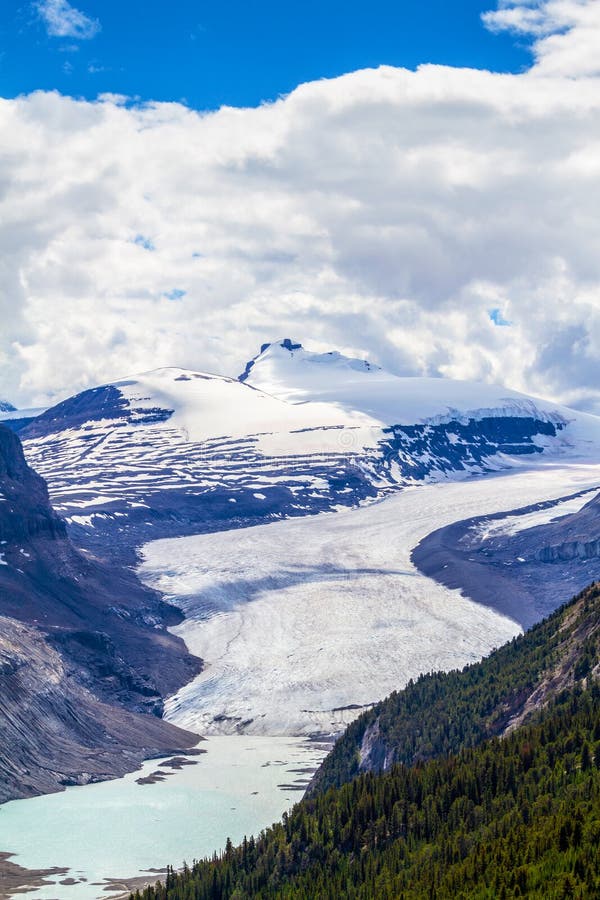 Glaciar De Saskatchewan En Parker Ridge En Jasper National Park Imagen ...