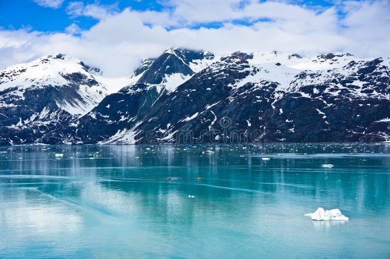 Glacier Bay En Alaska, Estados Unidos Imagen de archivo - Imagen de ...