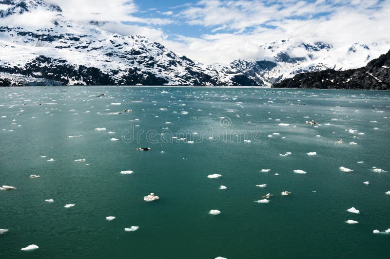 Glacier Bay National Park stock image. Image of national - 33300795