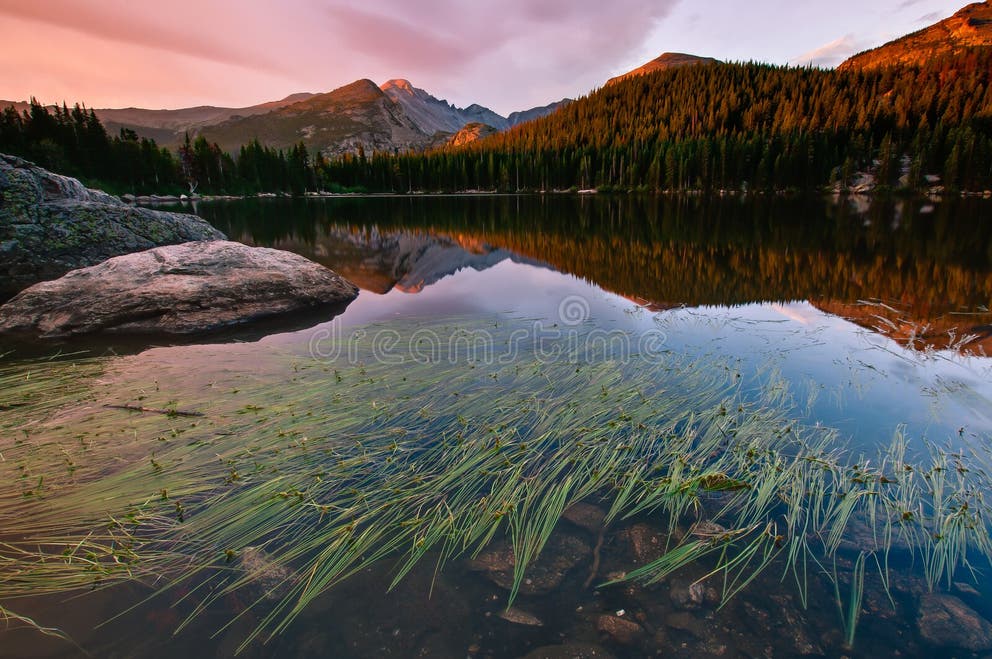 Glacier Gorge Grassy Reflection Stock Photo - Image of water, grassy ...
