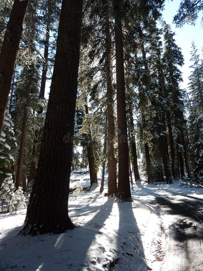 Glacier Pointroad Stock Photos - Free & Royalty-Free Stock Photos from ...