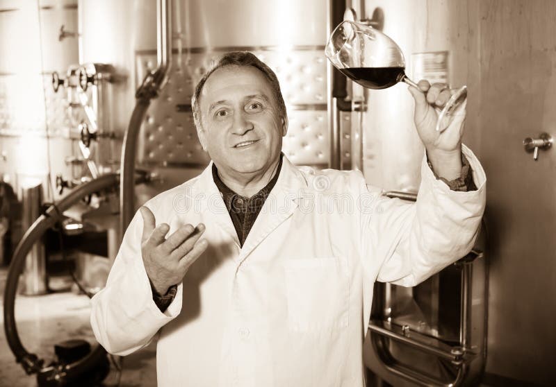 Wine Maker Controls Quality of Wine Stock Photo - Image of tasting ...
